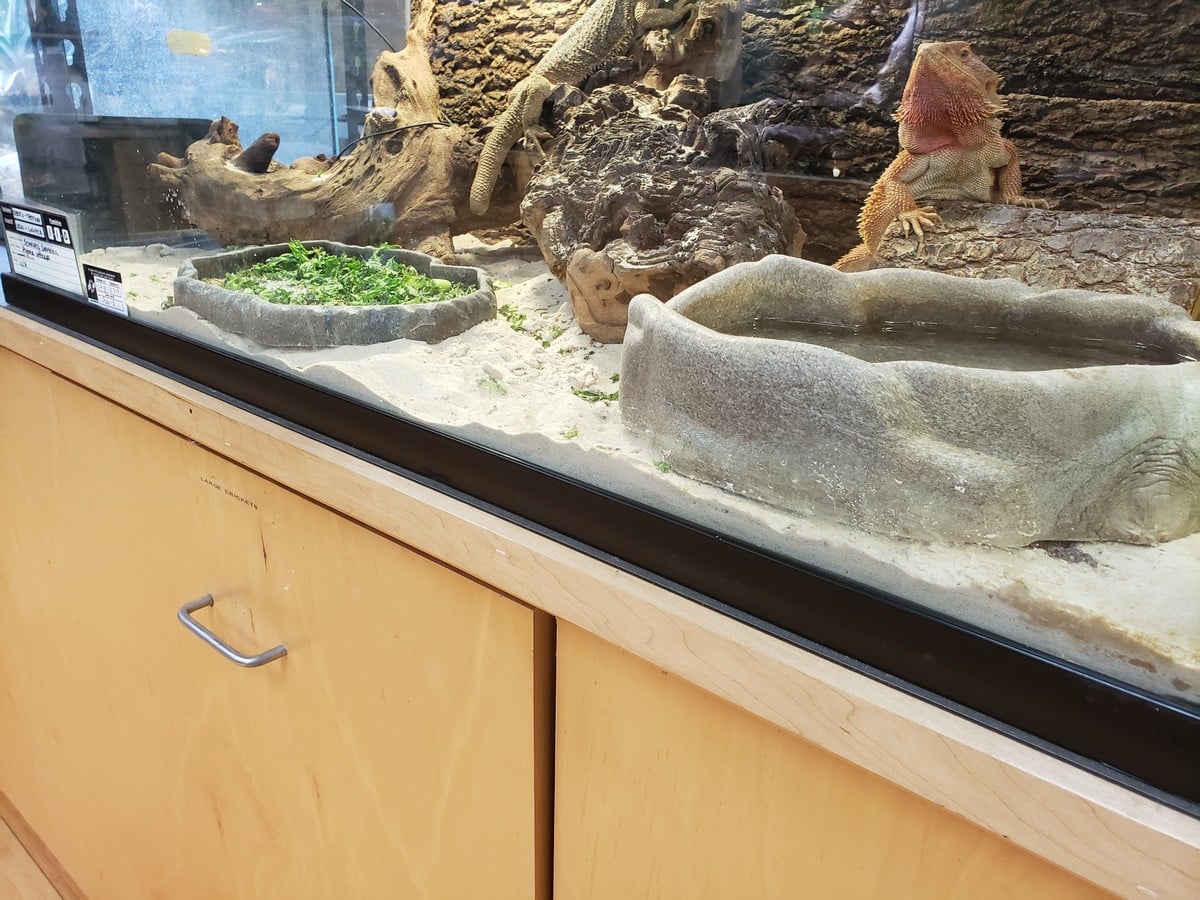 08640GALSCRN – Screen Tank Top for 40 Gallon Tanks | Zoo Med ...