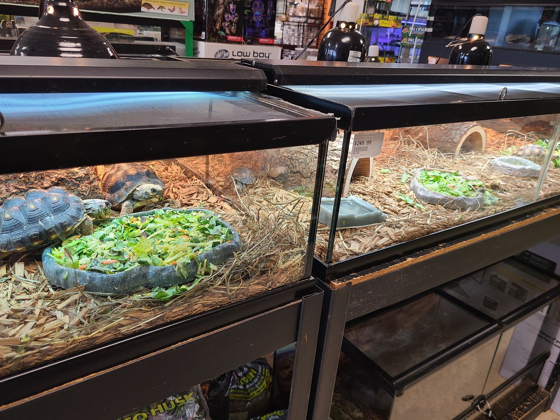 Store of the Month – June 2023 | Zoo Med Laboratories, Inc.