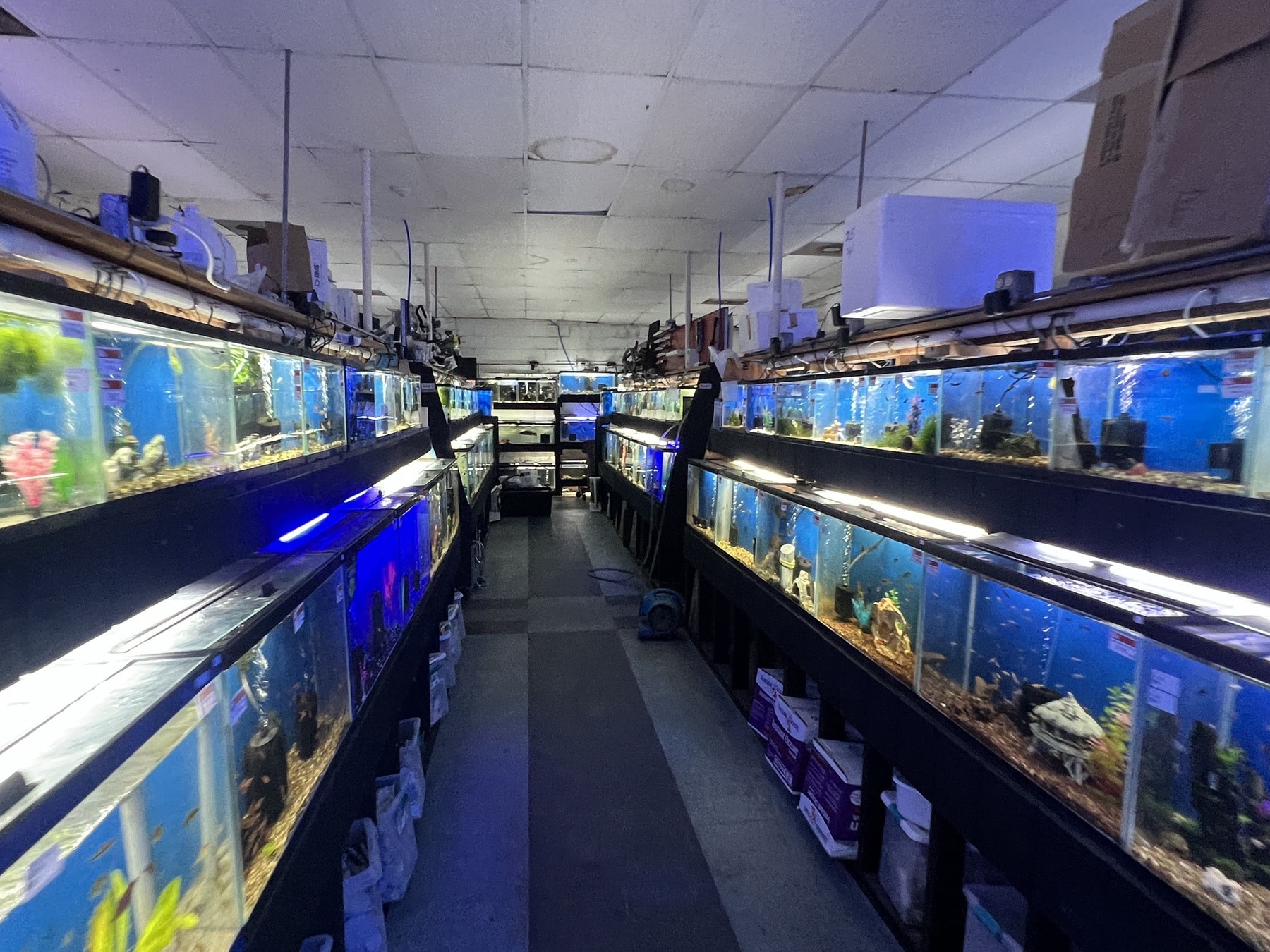 Store of the Month – July 2023 | Zoo Med Laboratories, Inc.